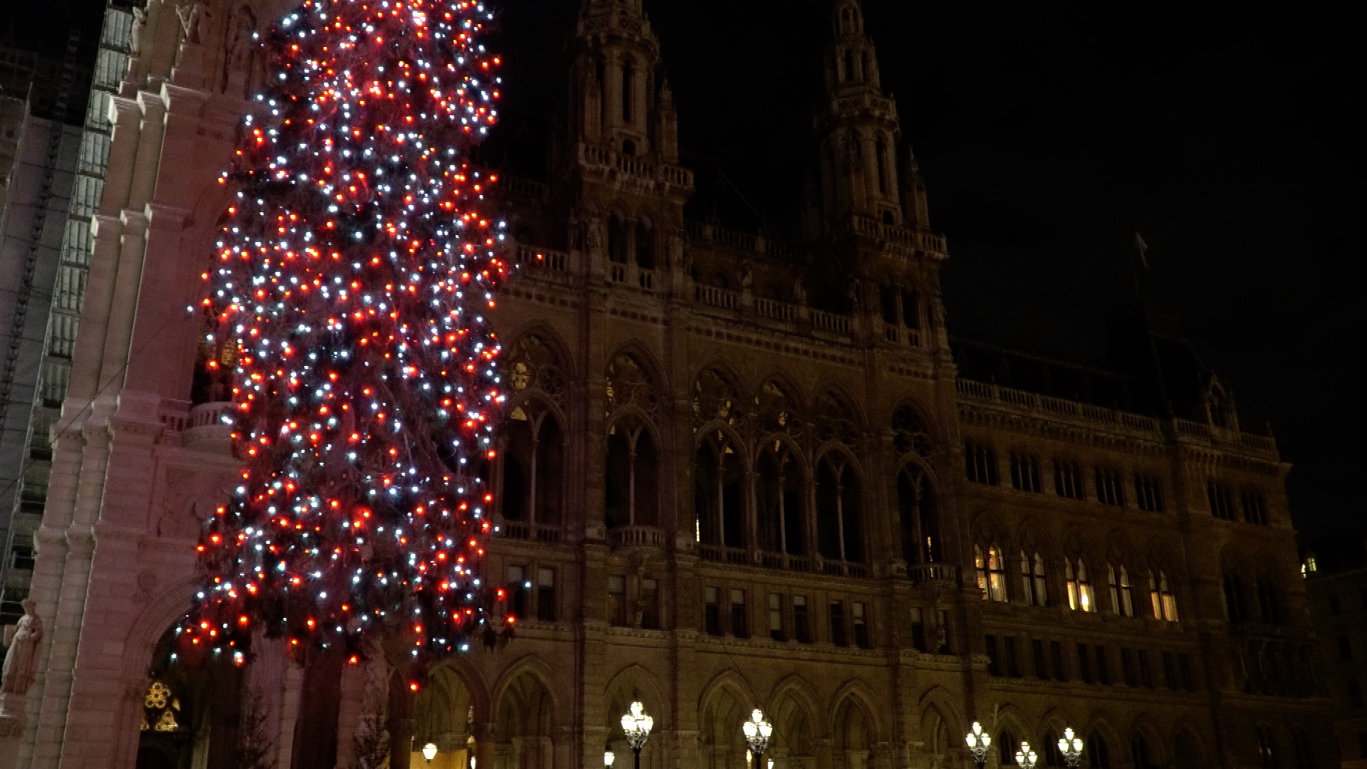 Der Christbaum am Wiener Rathausplatz leuchtet - News - W24