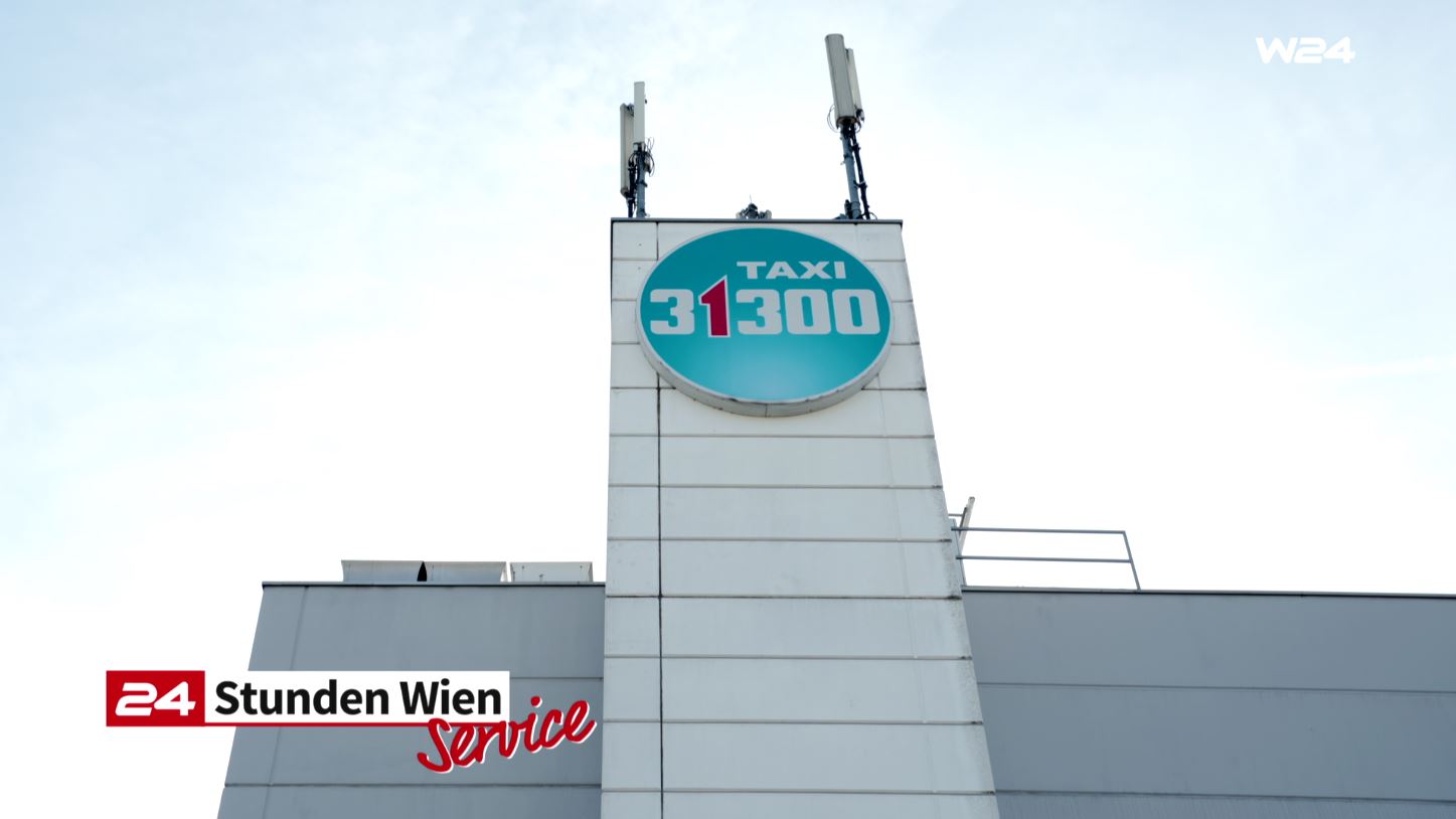 Taxi 31300 - W24
