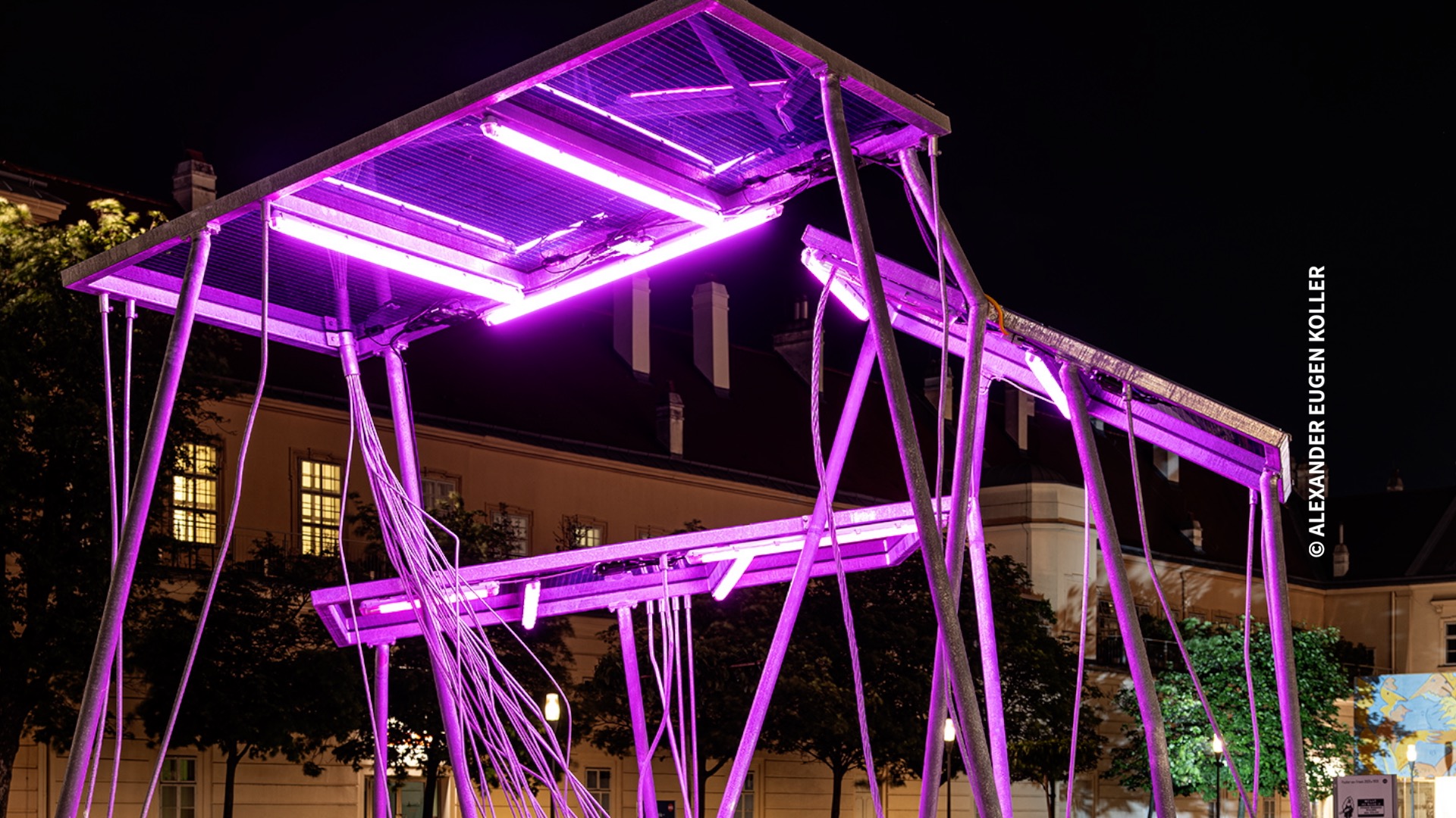 Bezirksflash: Neue Kunst im MQ - News - W24