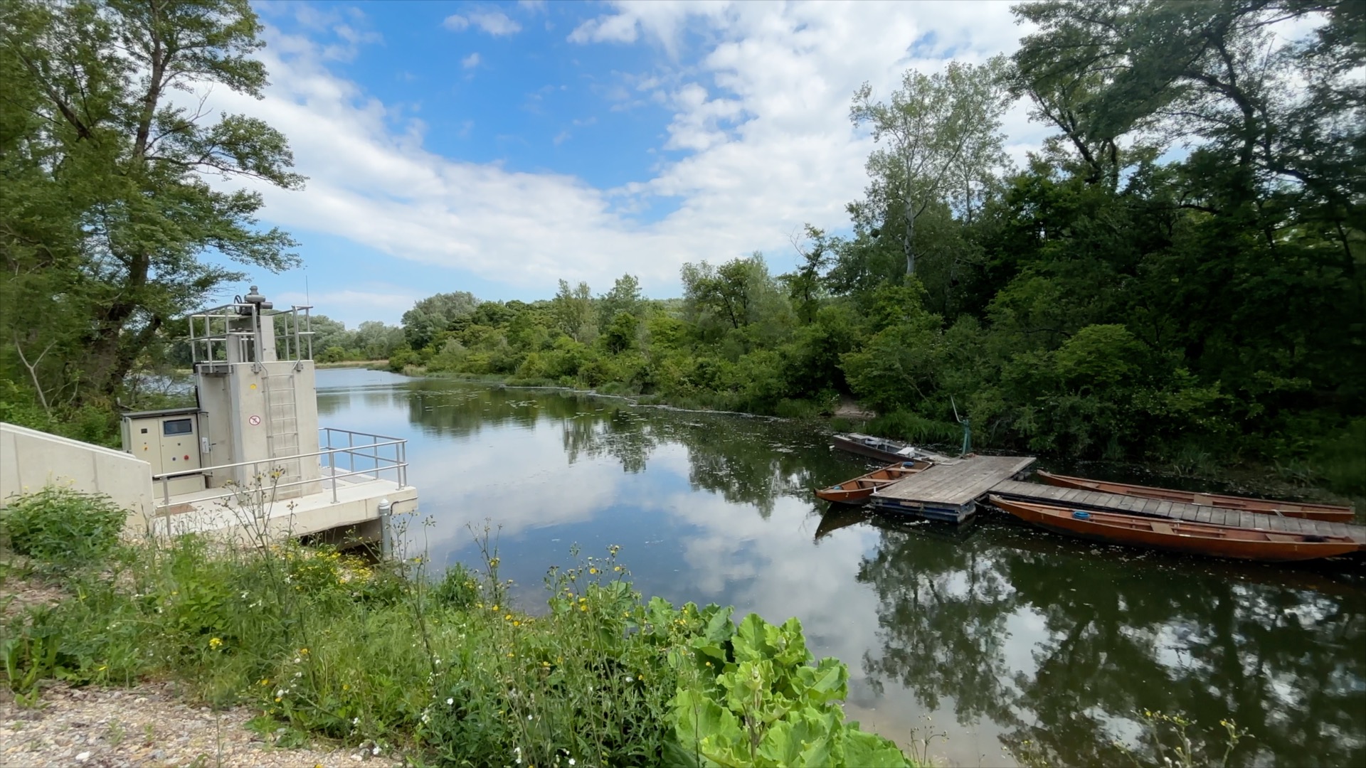 Lobau: Wasserzufuhr aus der Neuen Donau - News - W24