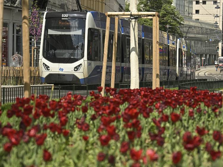 Badner Bahn: 14,7 Millionen Fahrgäste letztes Jahr - News - W24